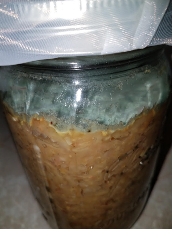 KNF and IMO "Indigenous Microorganisms" | Page 3 | Rollitup