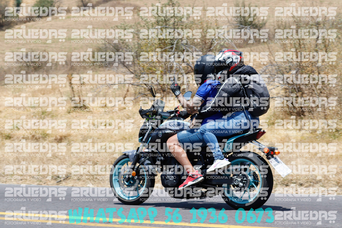 MG 1159 — Postimages