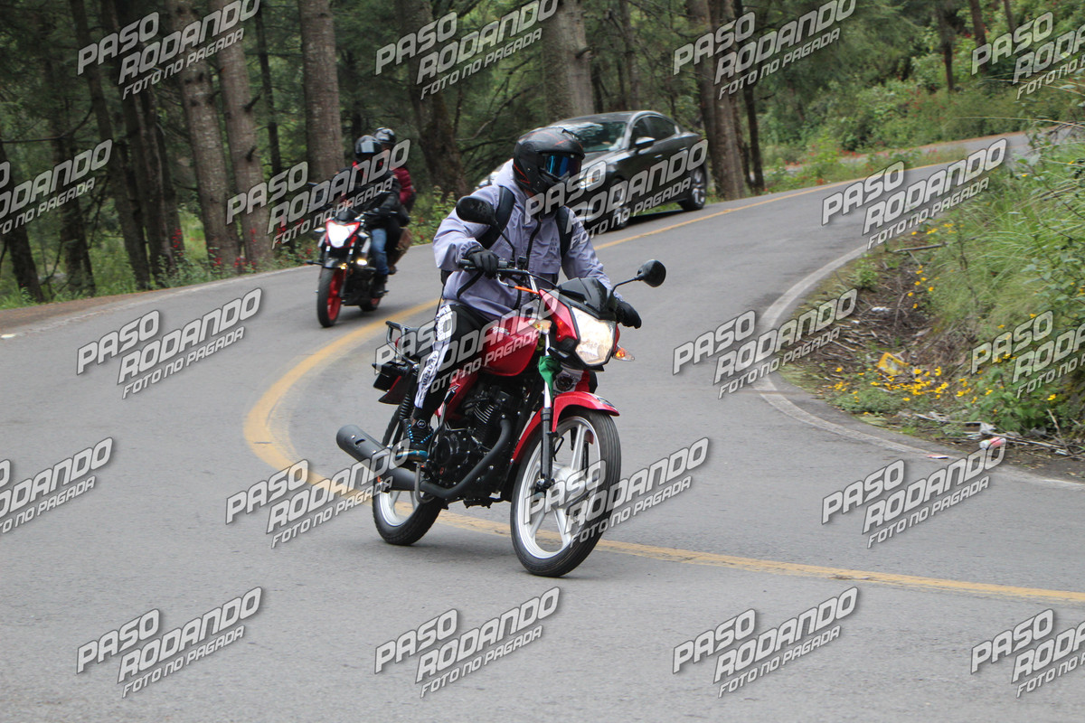 Album — Postimages