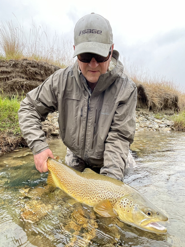 4 E8 DA9 EF 9629 4 C18 A809 FD5 B06631 A02 — Postimages