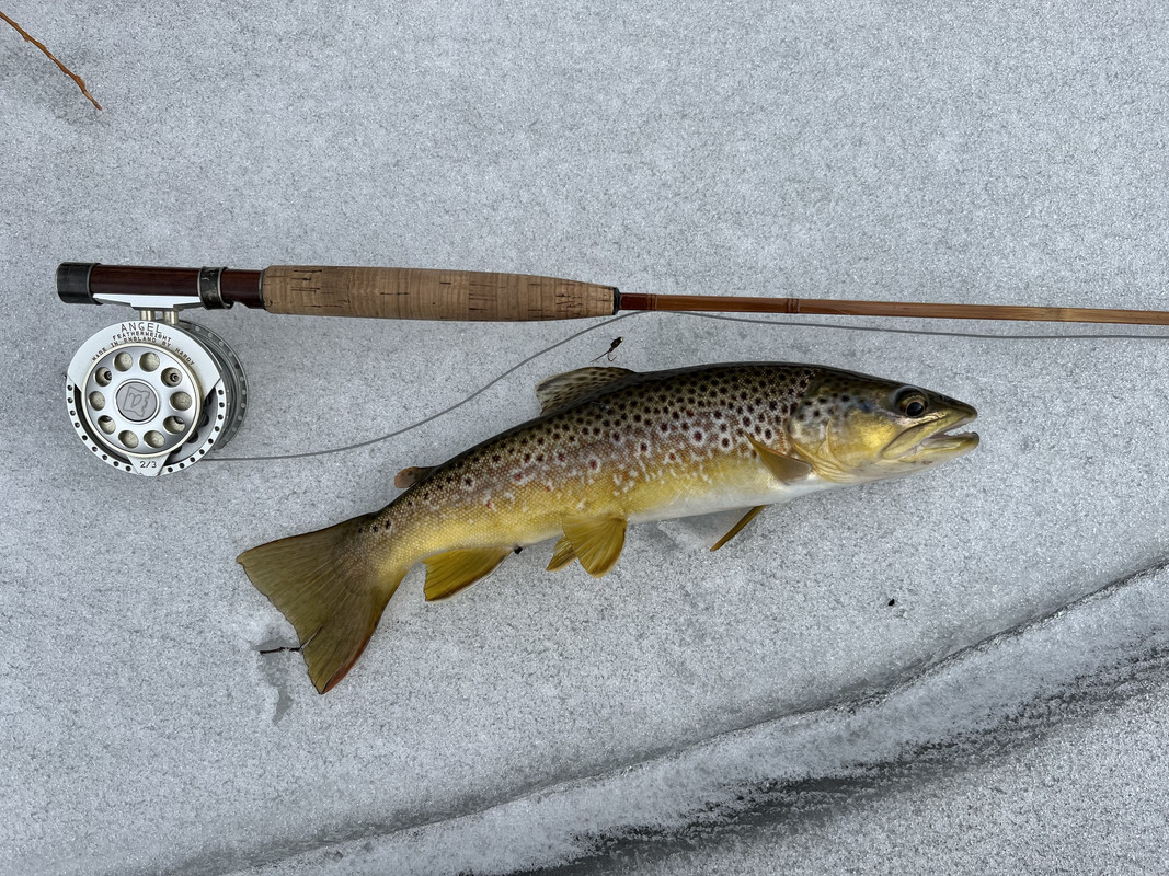 IMG 0113 — Postimages