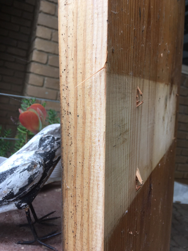 IMG 4157 — Postimages