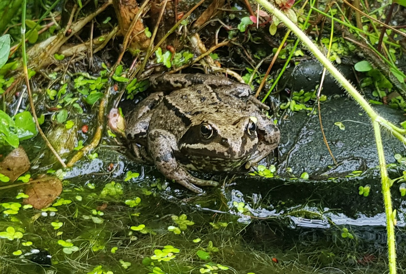 20240720 154912 2 — Postimages