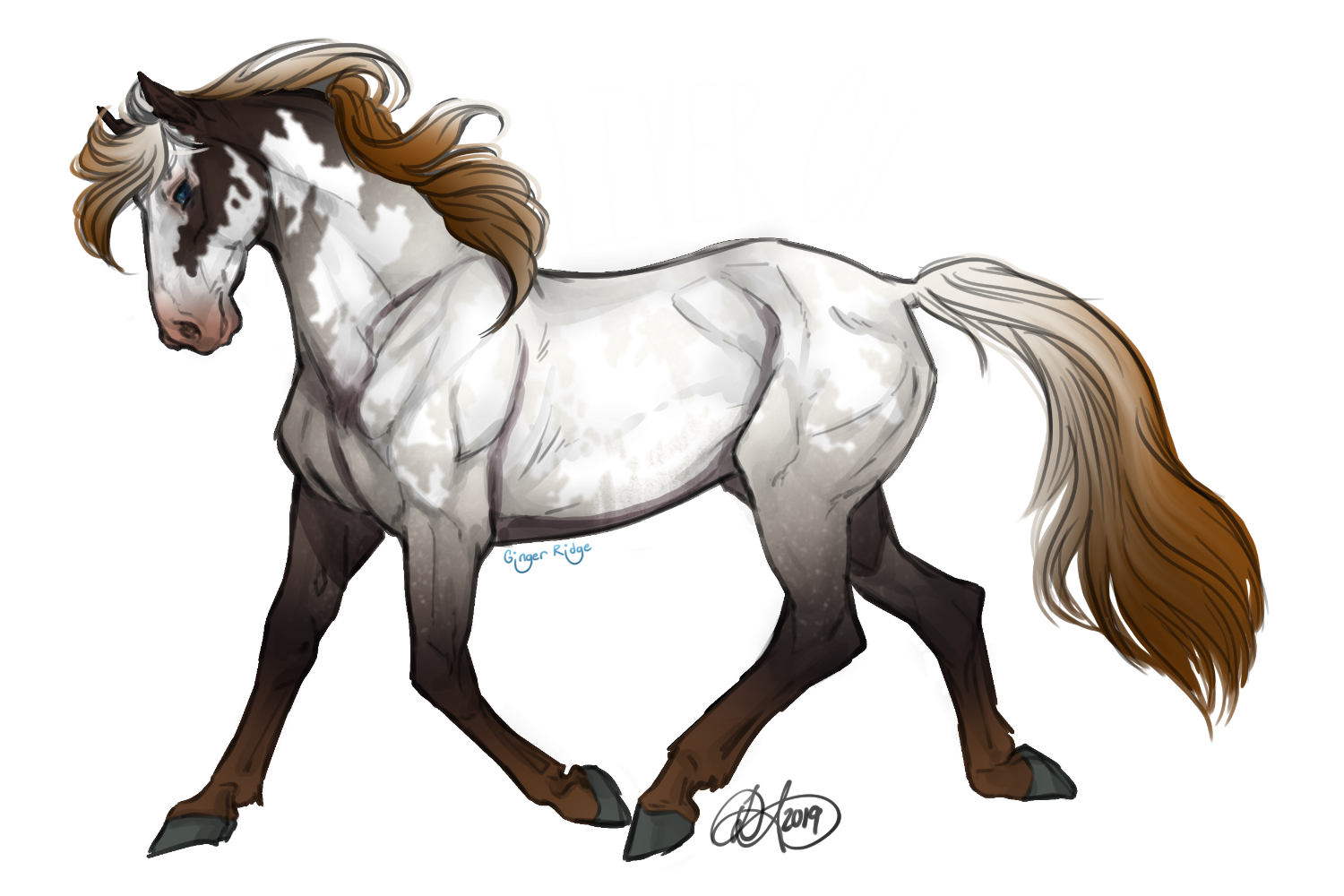 Liver Chestnut Frame Rabicano Roan — Postimages