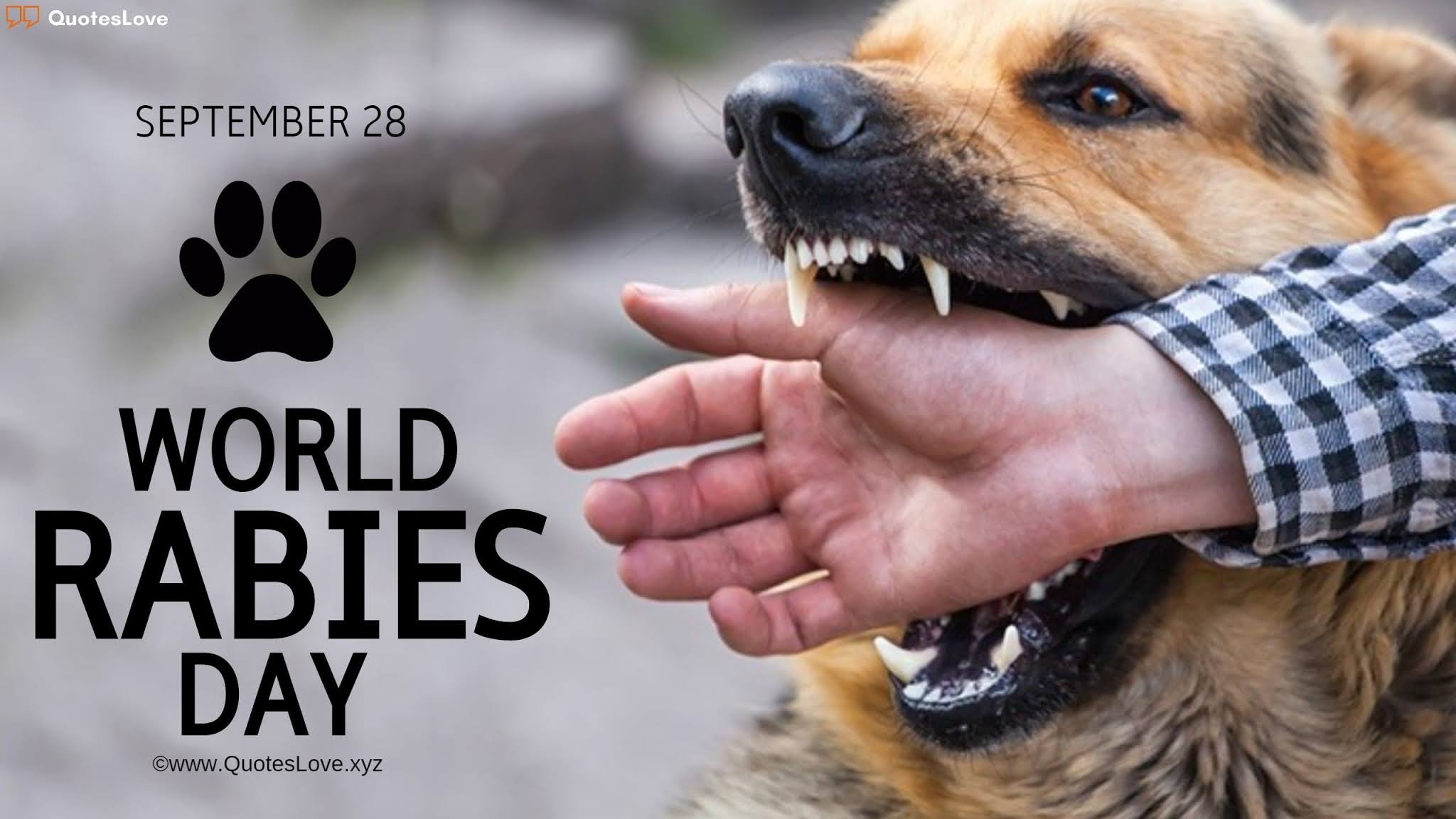 World Rabies Day Quotes Sayings Slogans Wishes Greetings Theme Poster ...