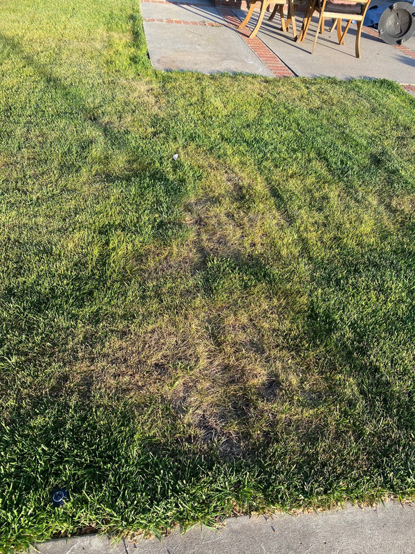 lawn 2 — Postimages