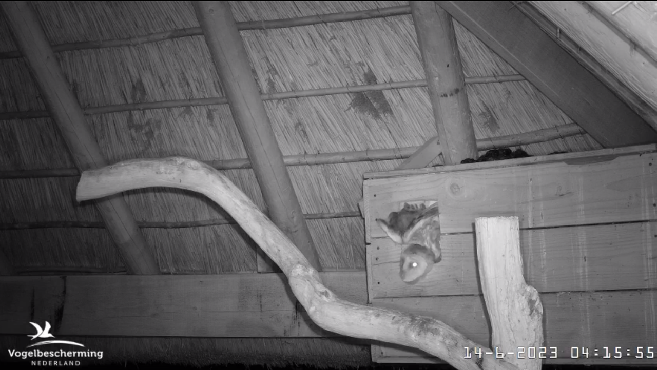 Schermopname (416) — Postimages