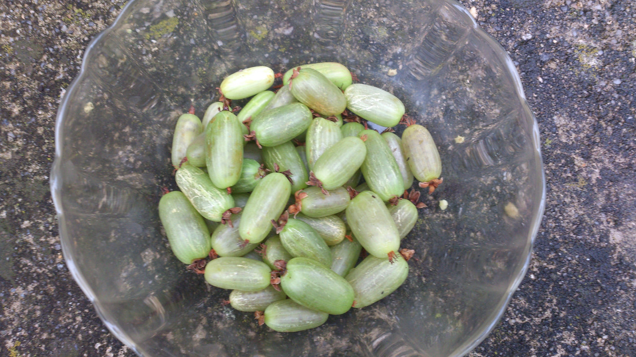 DSC 5775 — Postimages