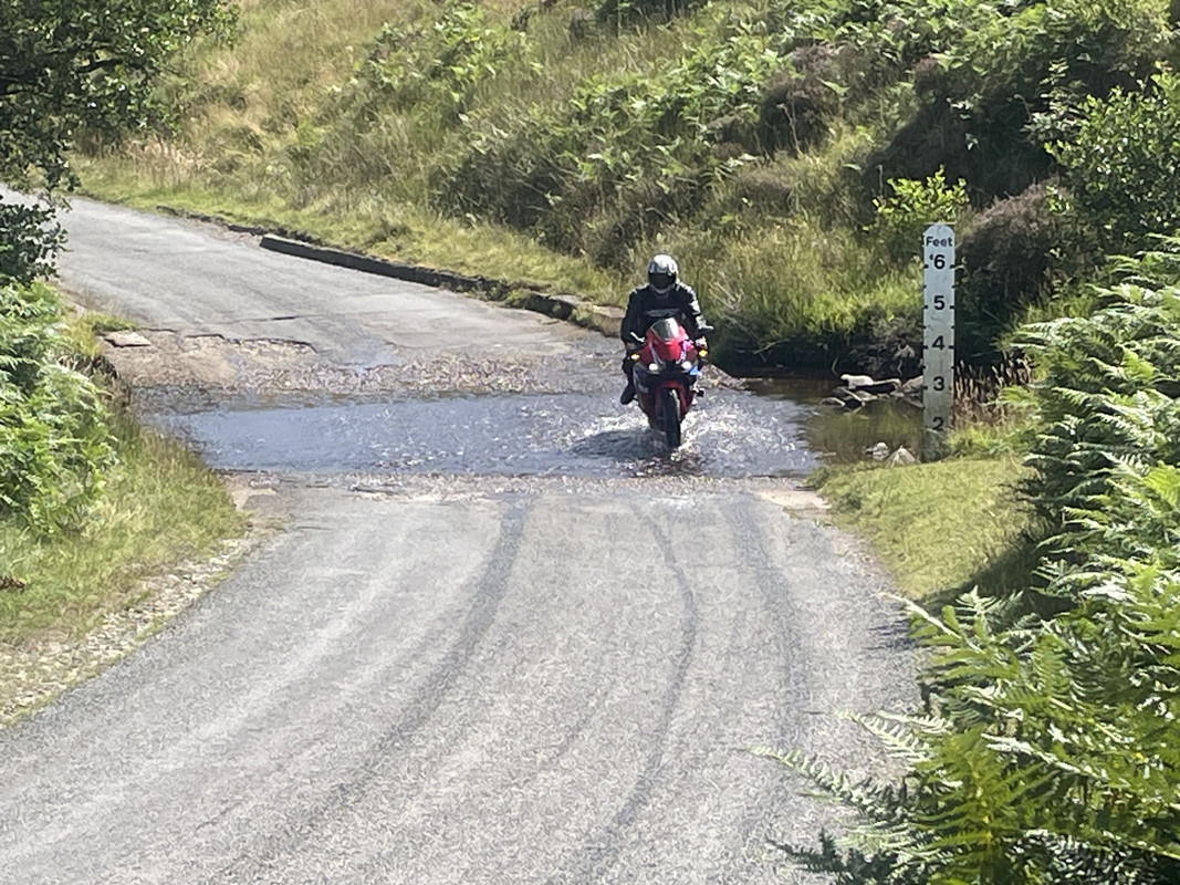 IMG 8160 — Postimages