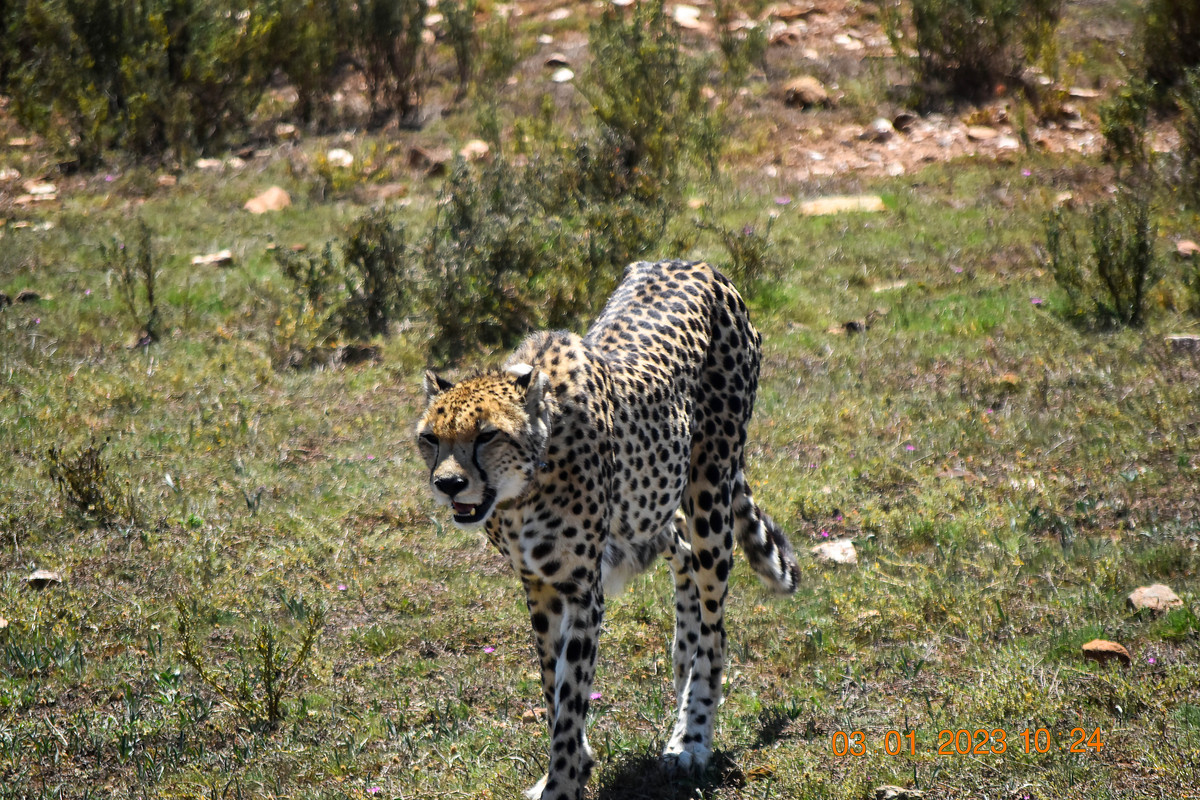 DSC 0324 — Postimages