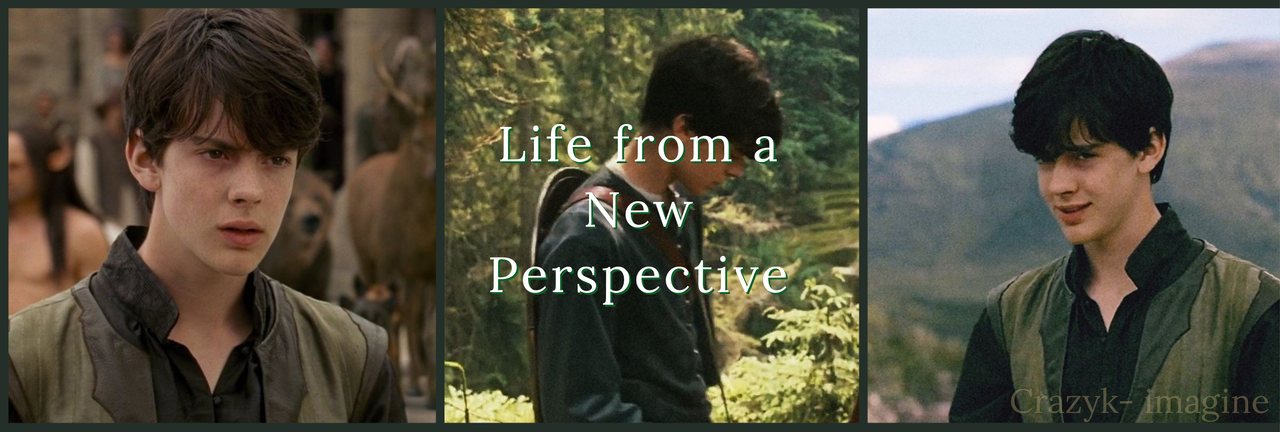 Narnia Archive Of Our Own , Narnia Crossover with Harry Potter – PNQOO