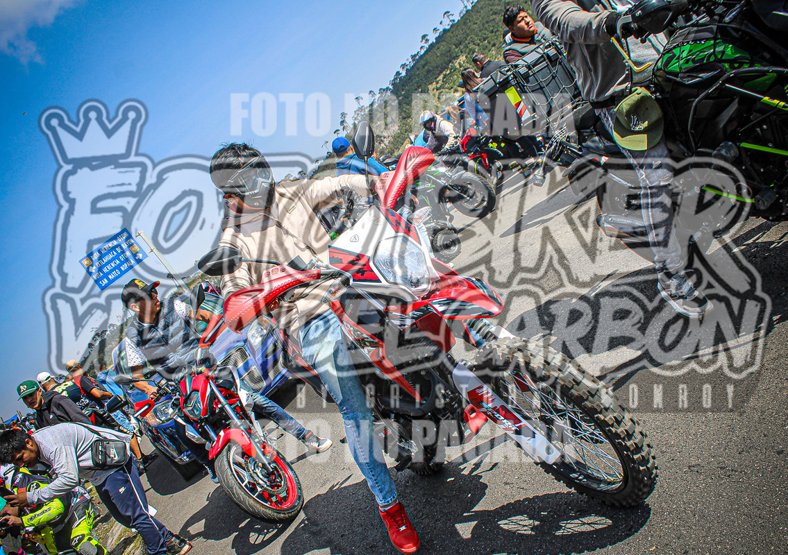 pal1 2012 — Postimages