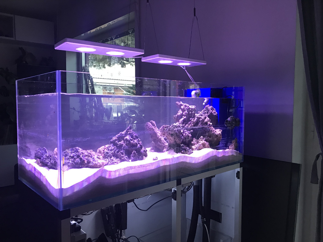 IMG 4133 — Postimages