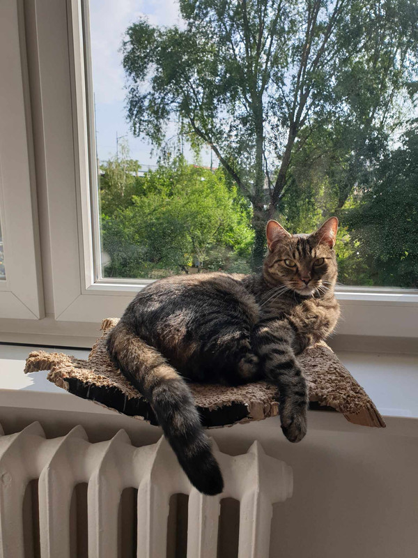 354478973 2583342848485174 8219309838984555951 n — Postimages