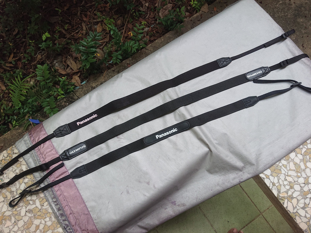 DSC 2588 — Postimages