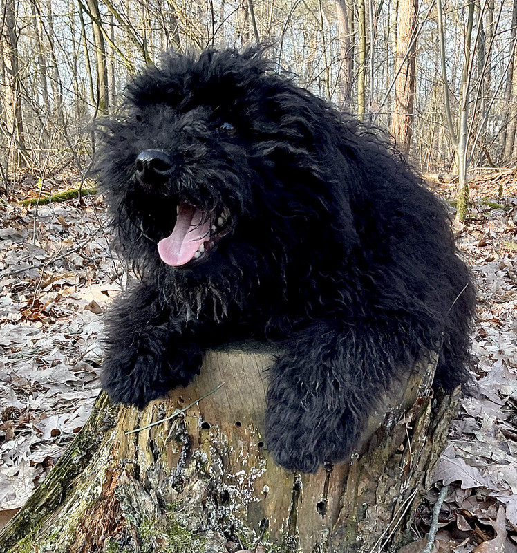 FFC6 EAE9 6 FF3 48 D2 9 D50 164 C995 D62 BD — Postimages