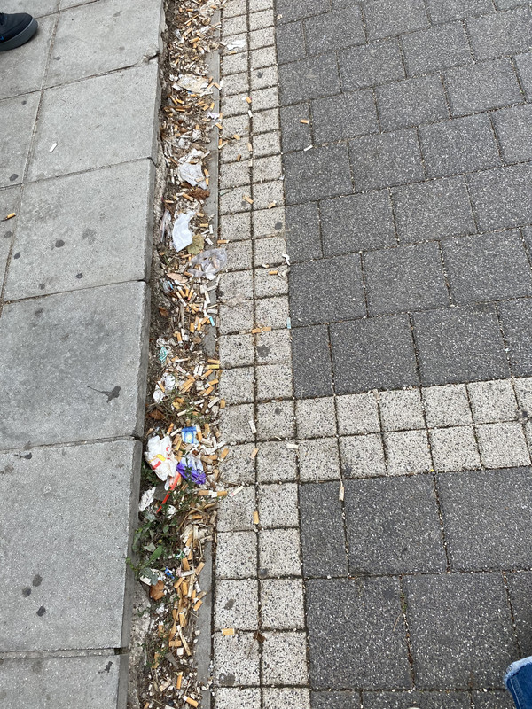 IMG 1241 — Postimages