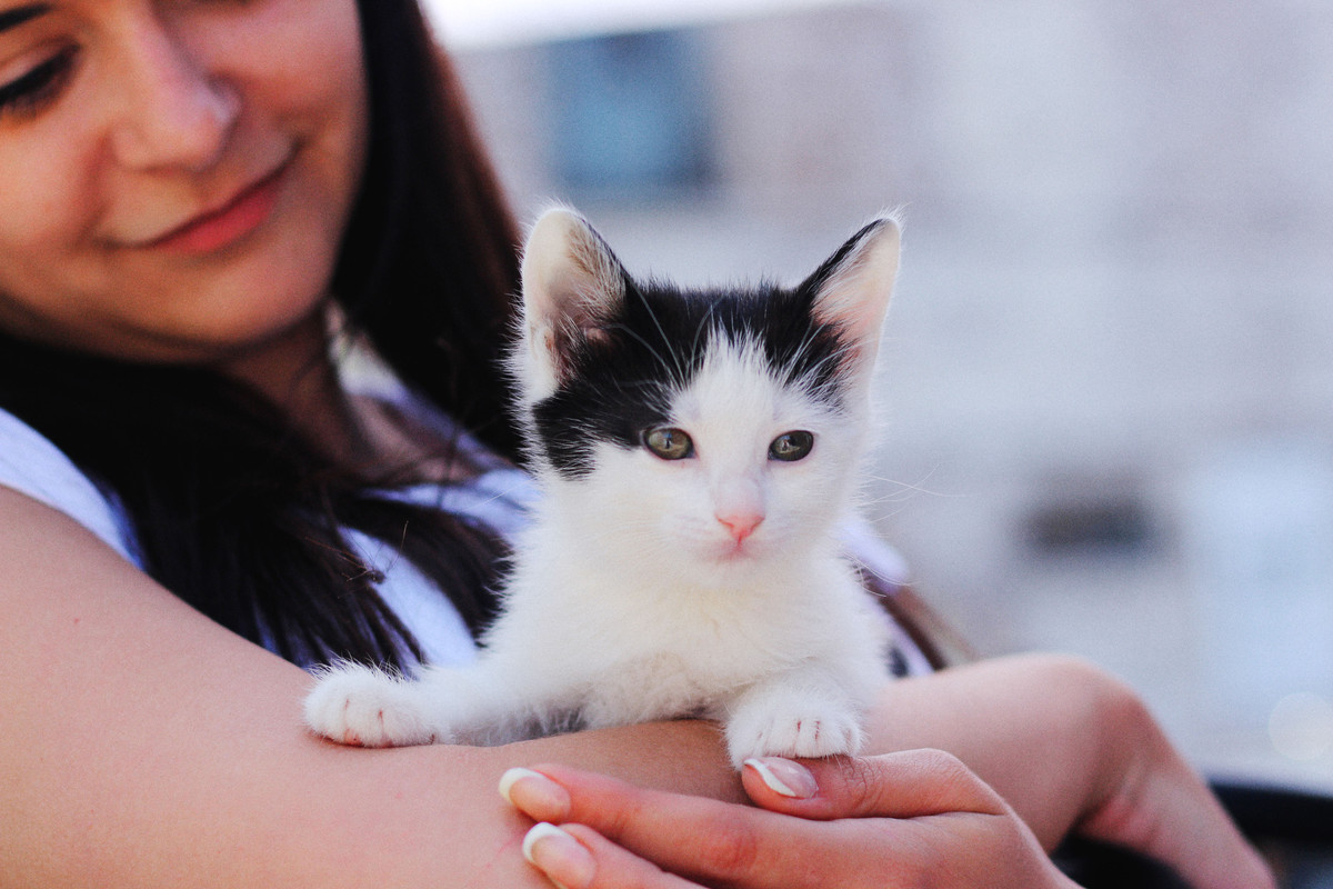 IMG 8590 — Postimages