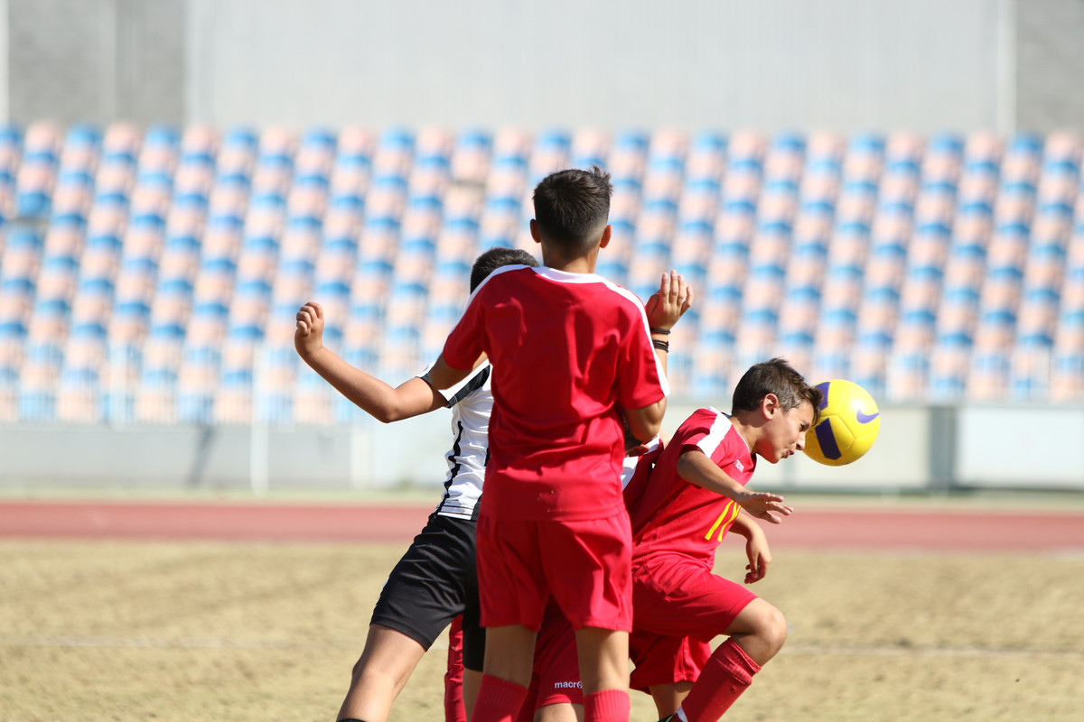 VIK 2642 — Postimages