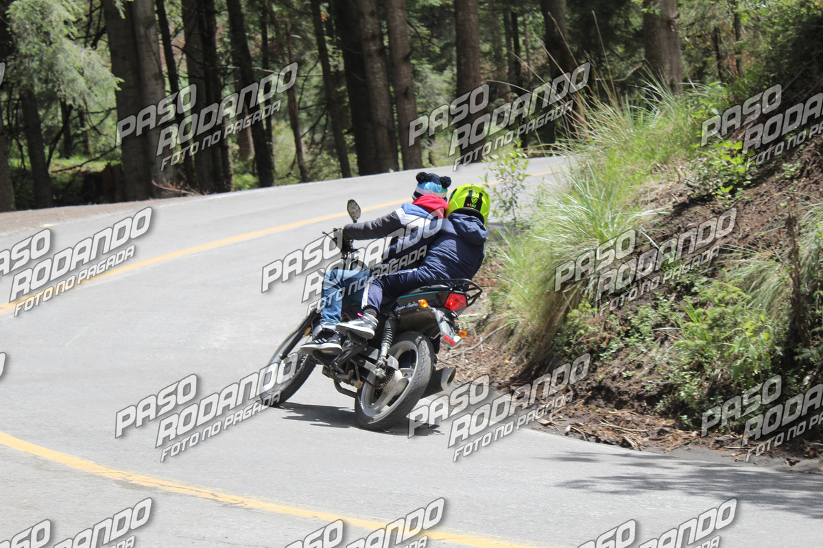 IMG 3329 wm 424184 5999999996 watermarked — Postimages