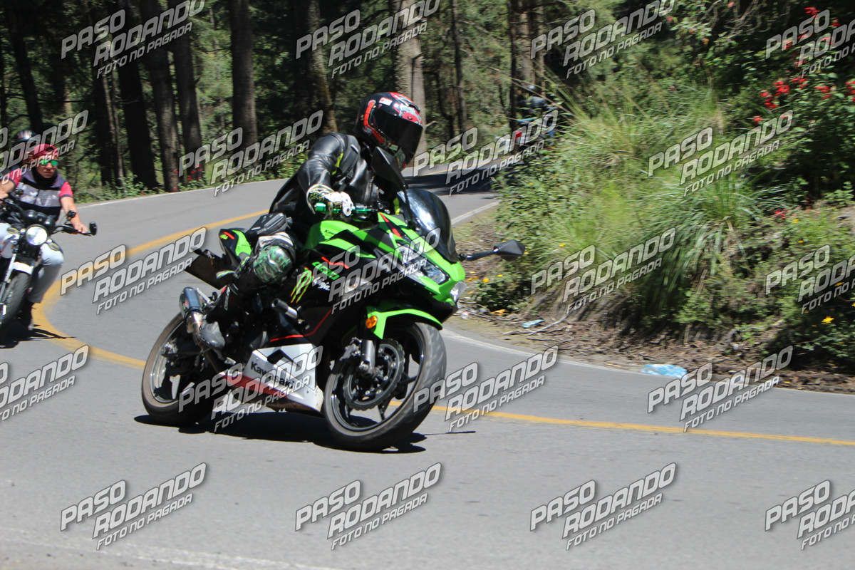 IMG 5952 wm 17756612 3 watermarked — Postimages