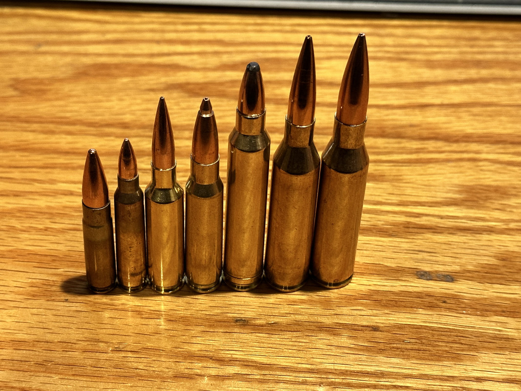 What rounds are they > General Discussion > AR15.COM
