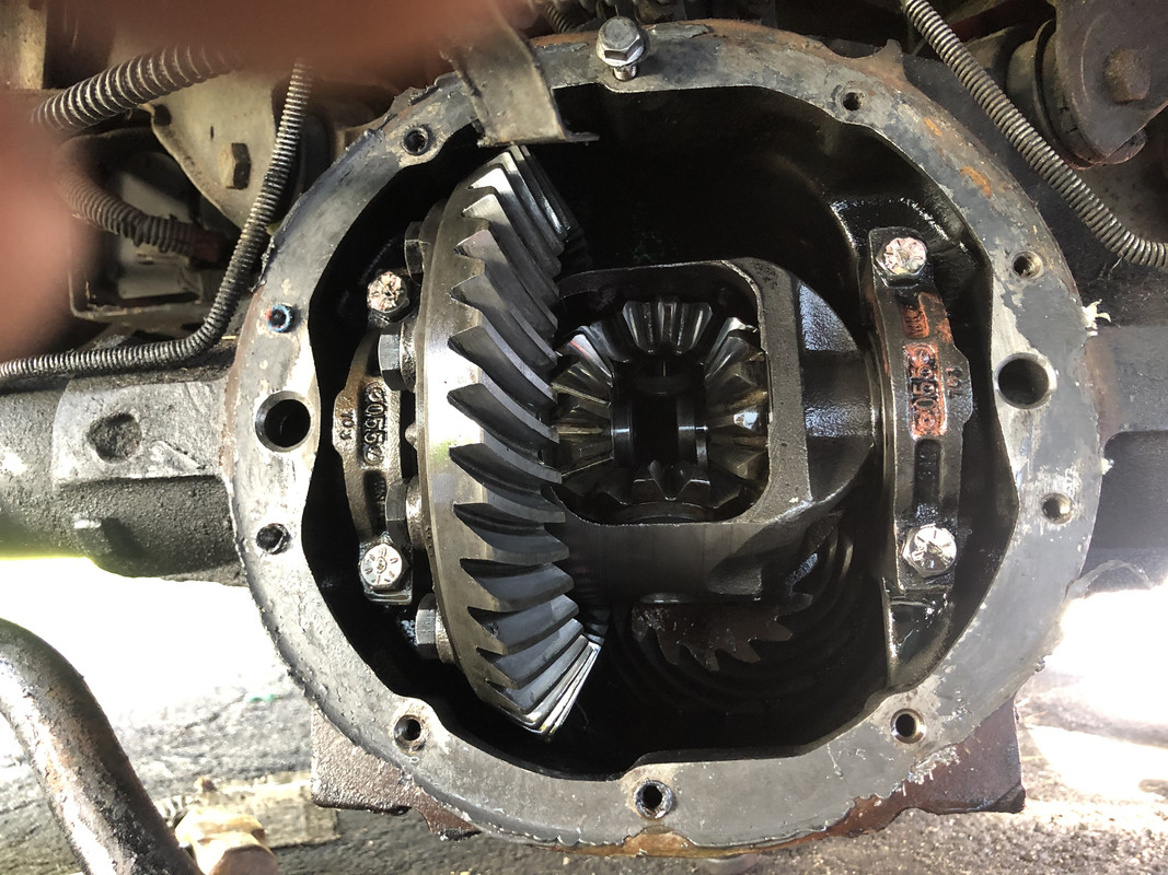 IMG 255 — Postimages