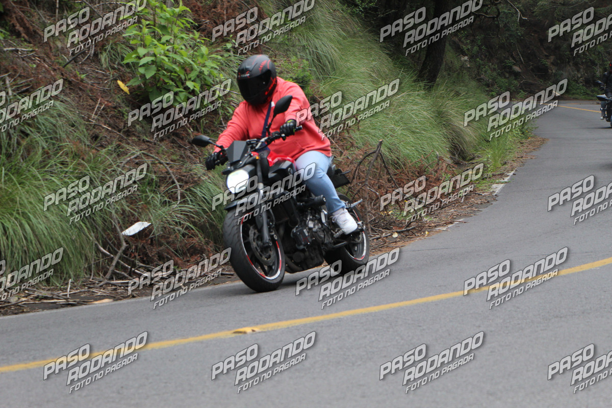 IMG 3085 wm 1510049 5 watermarked — Postimages