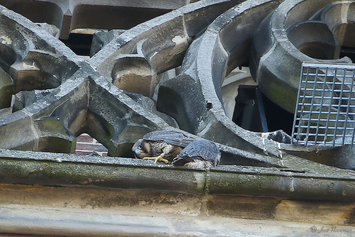 IMG 7866 — Postimages