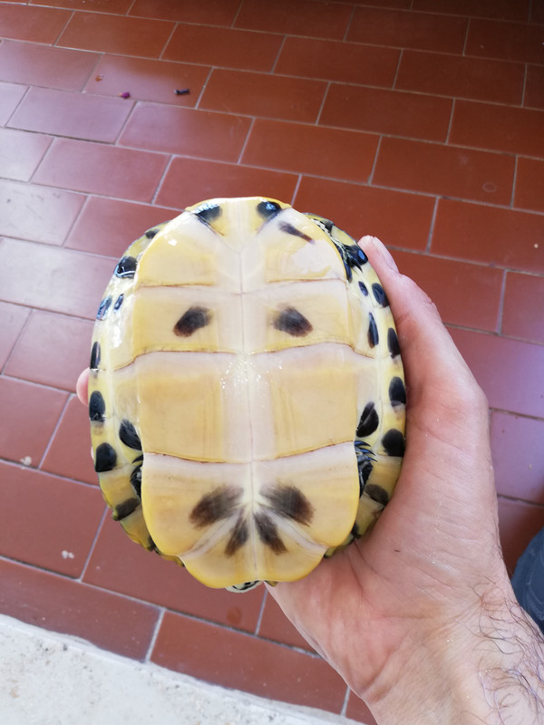 IMG 20190709 154316 — Postimages