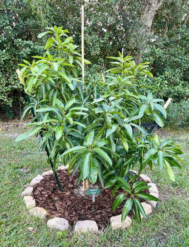 IMG 1178 — Postimages