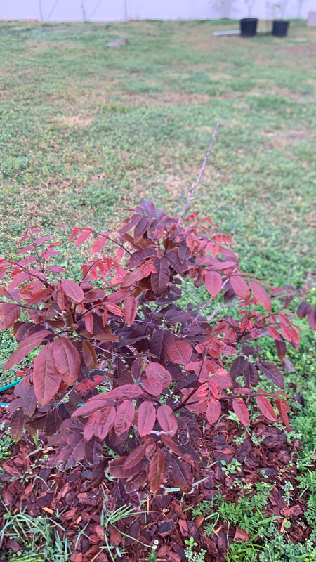 IMG 8220 — Postimages