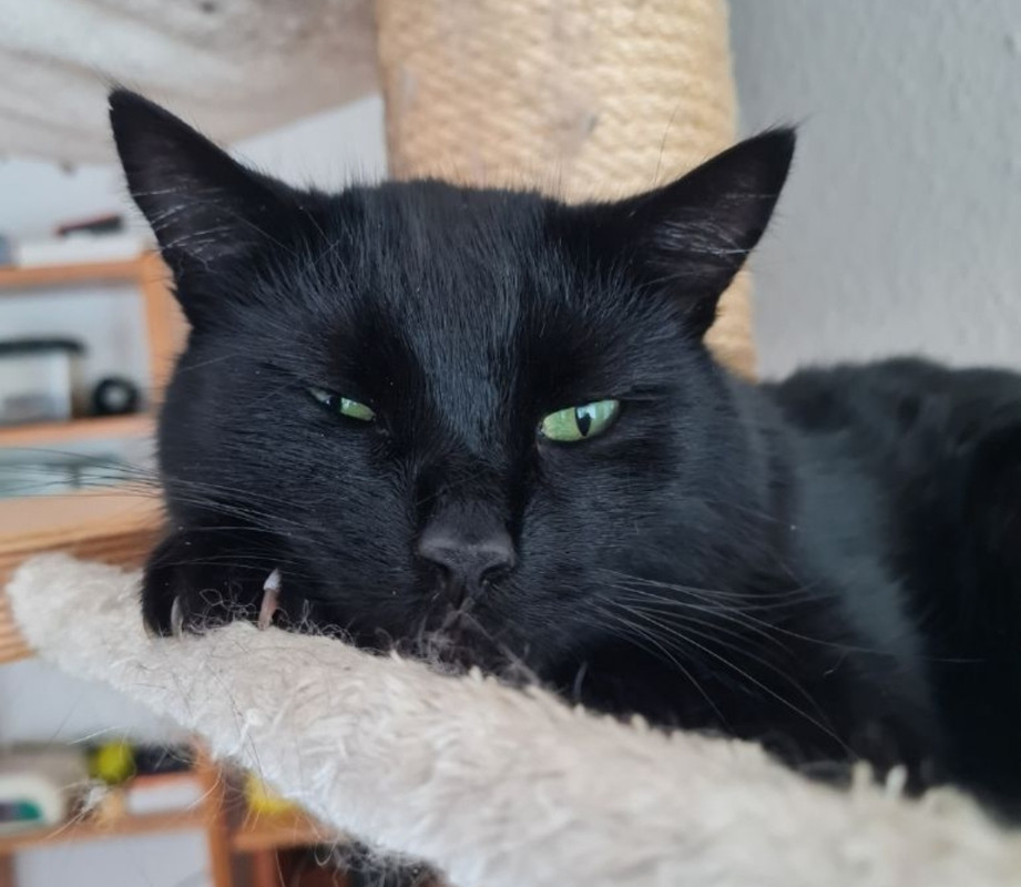 Screenshot 20241107 230751 Threema — Postimages