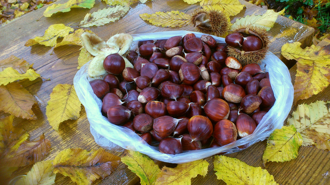 DSC 0119 — Postimages