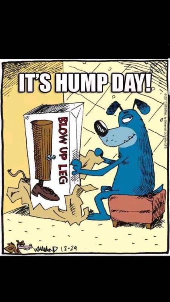 Image — Postimages