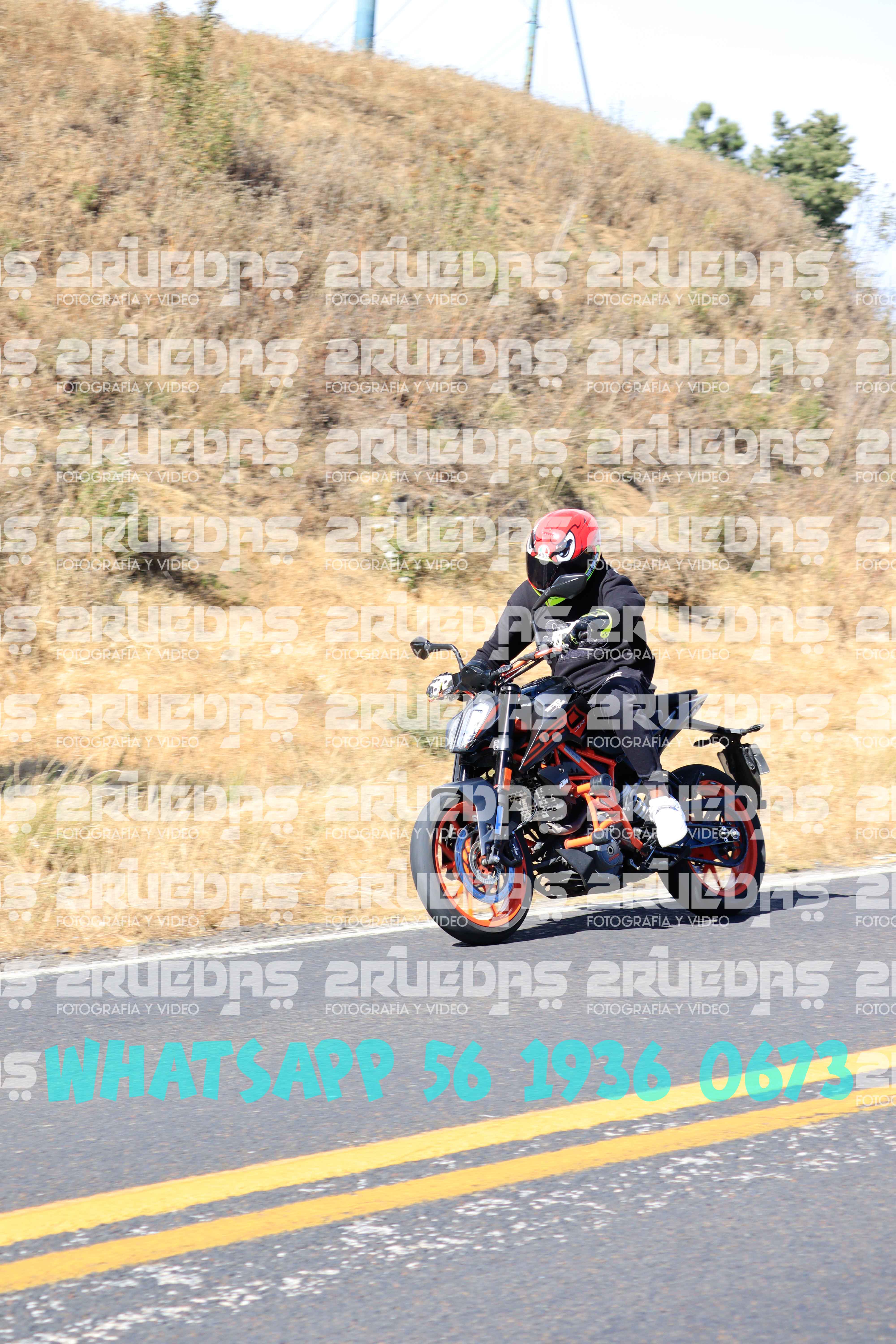 MG 1640 — Postimages