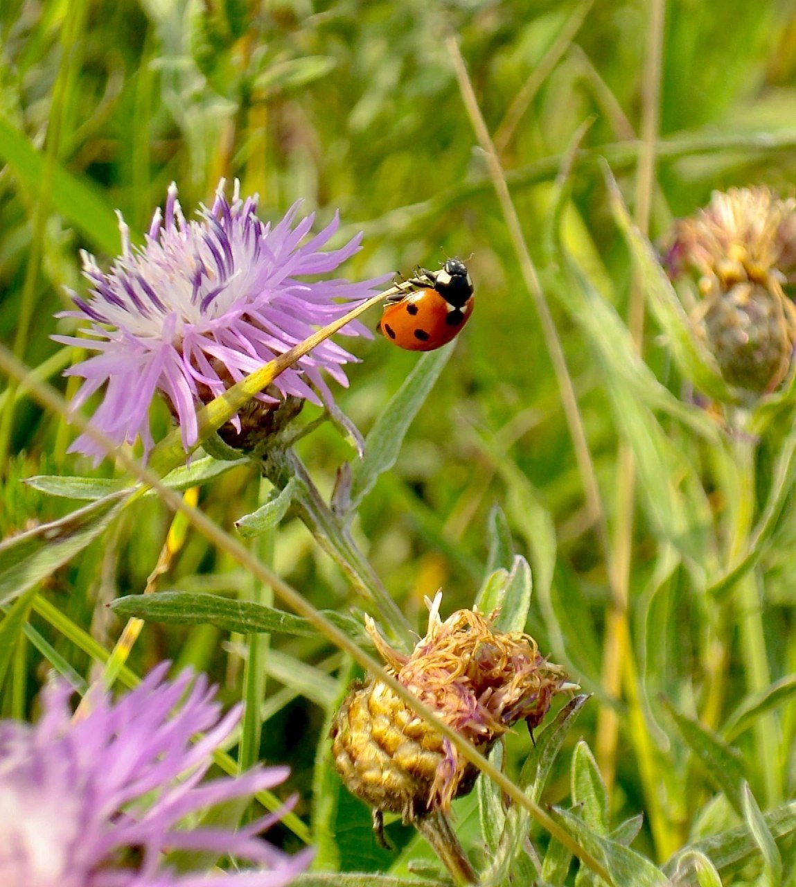 IMG 20230902 110914 124 — Postimages