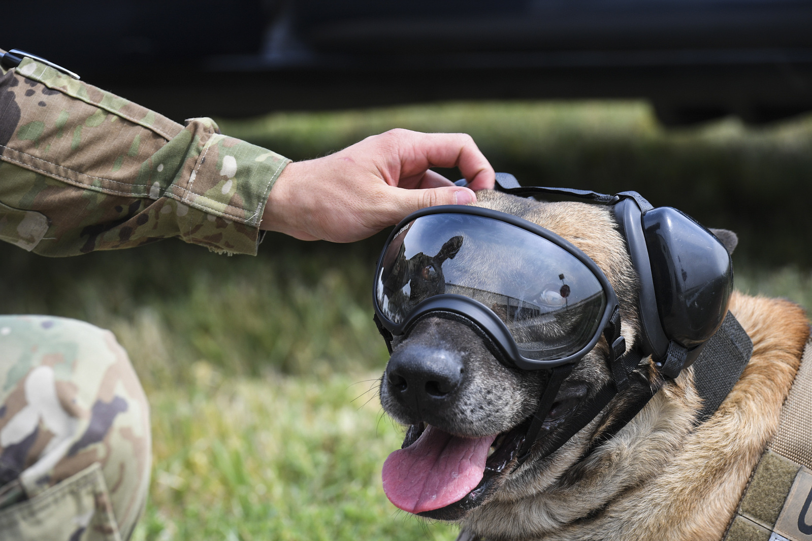 USAF 5th Security Forces Squadron military working dog section01 ...