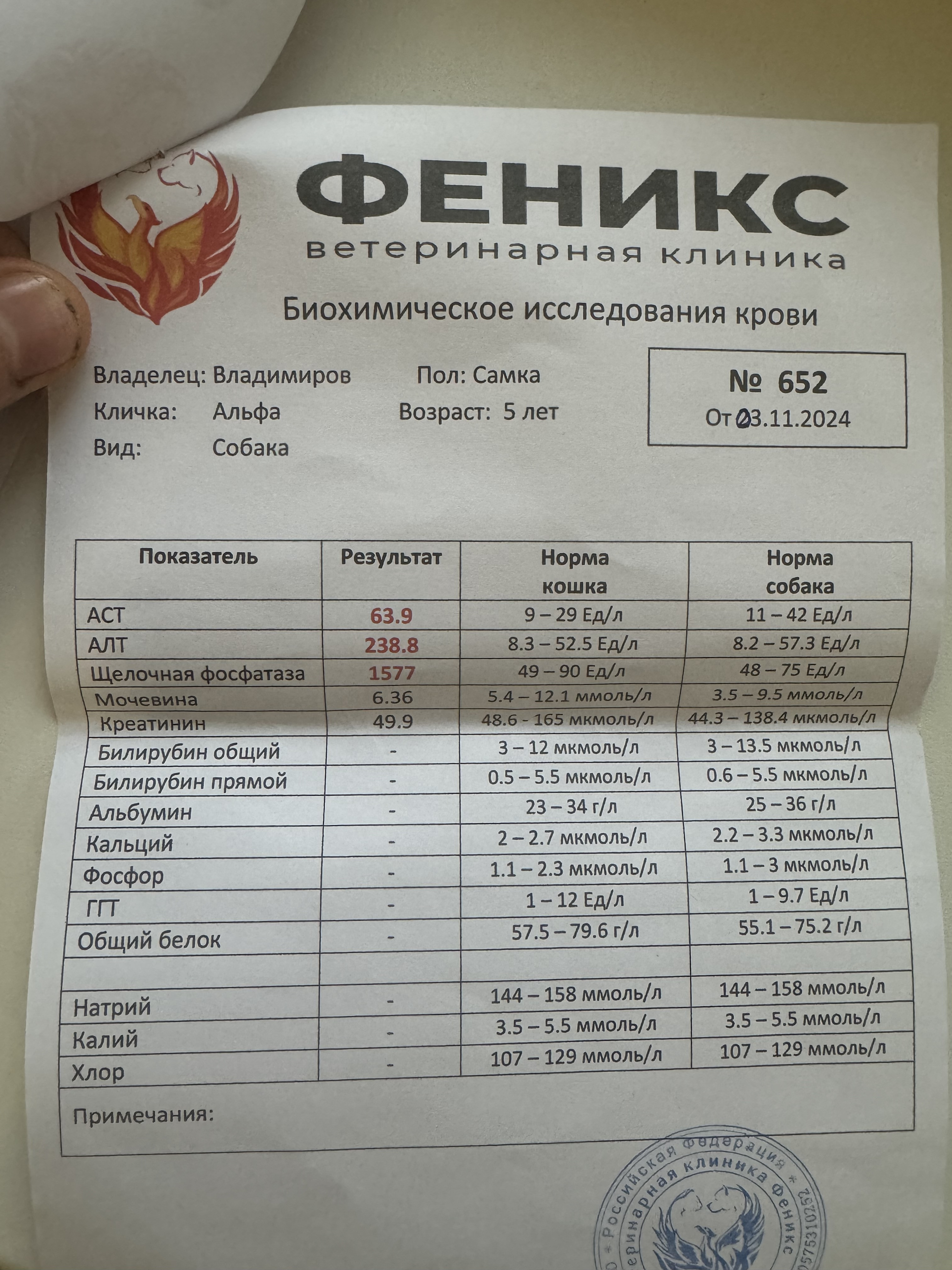 IMG 1818 — Postimages