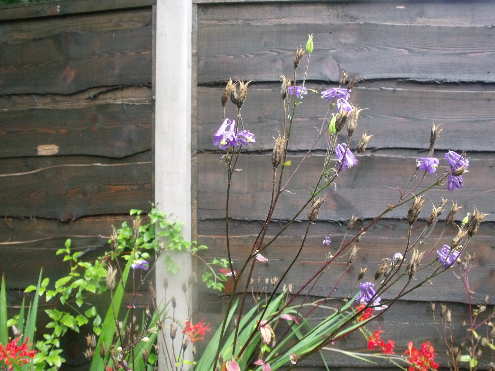 DSCF3519 — Postimages