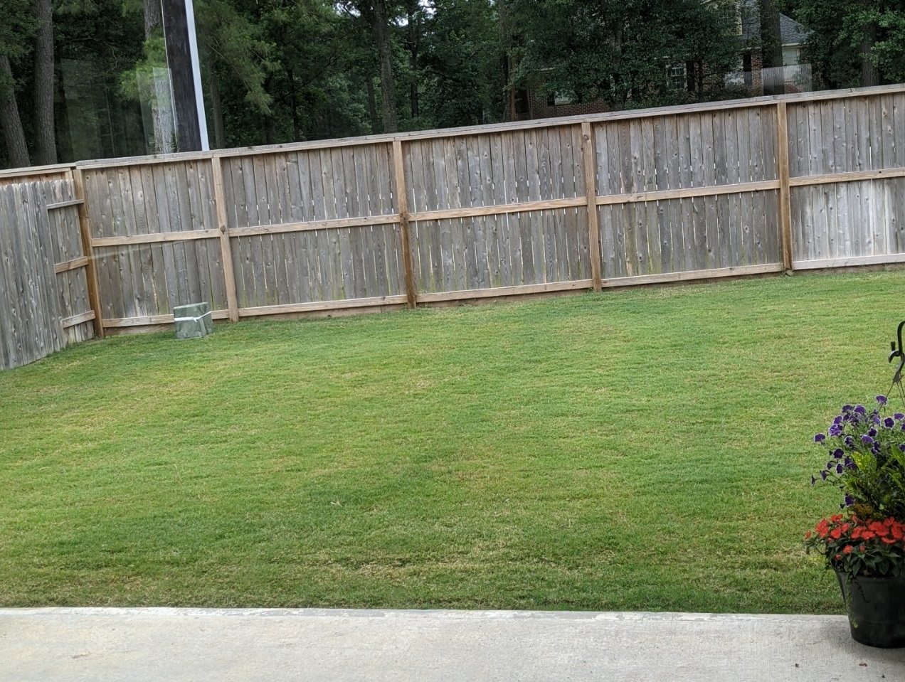 backyard — Postimages