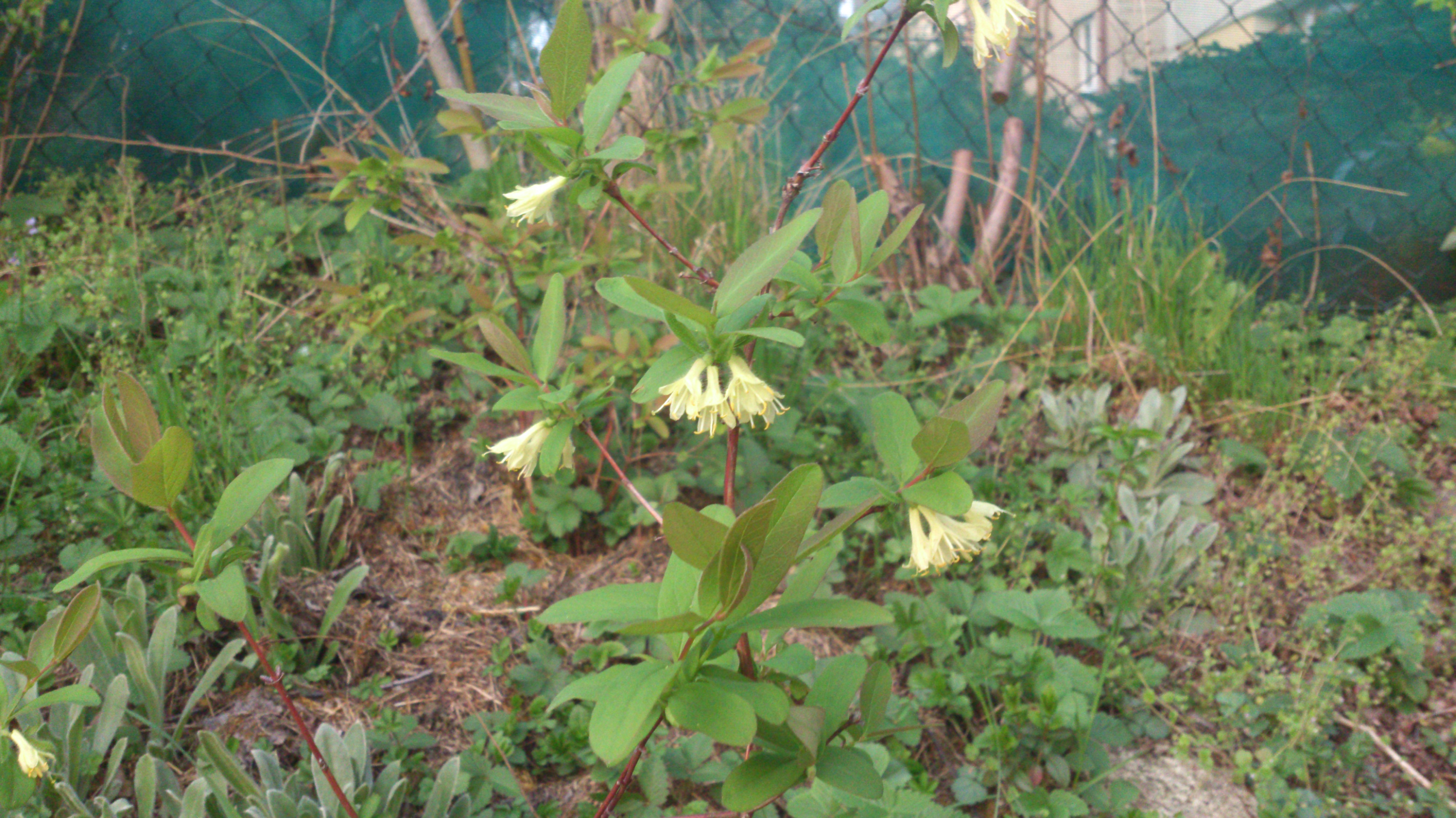 DSC 0863 — Postimages