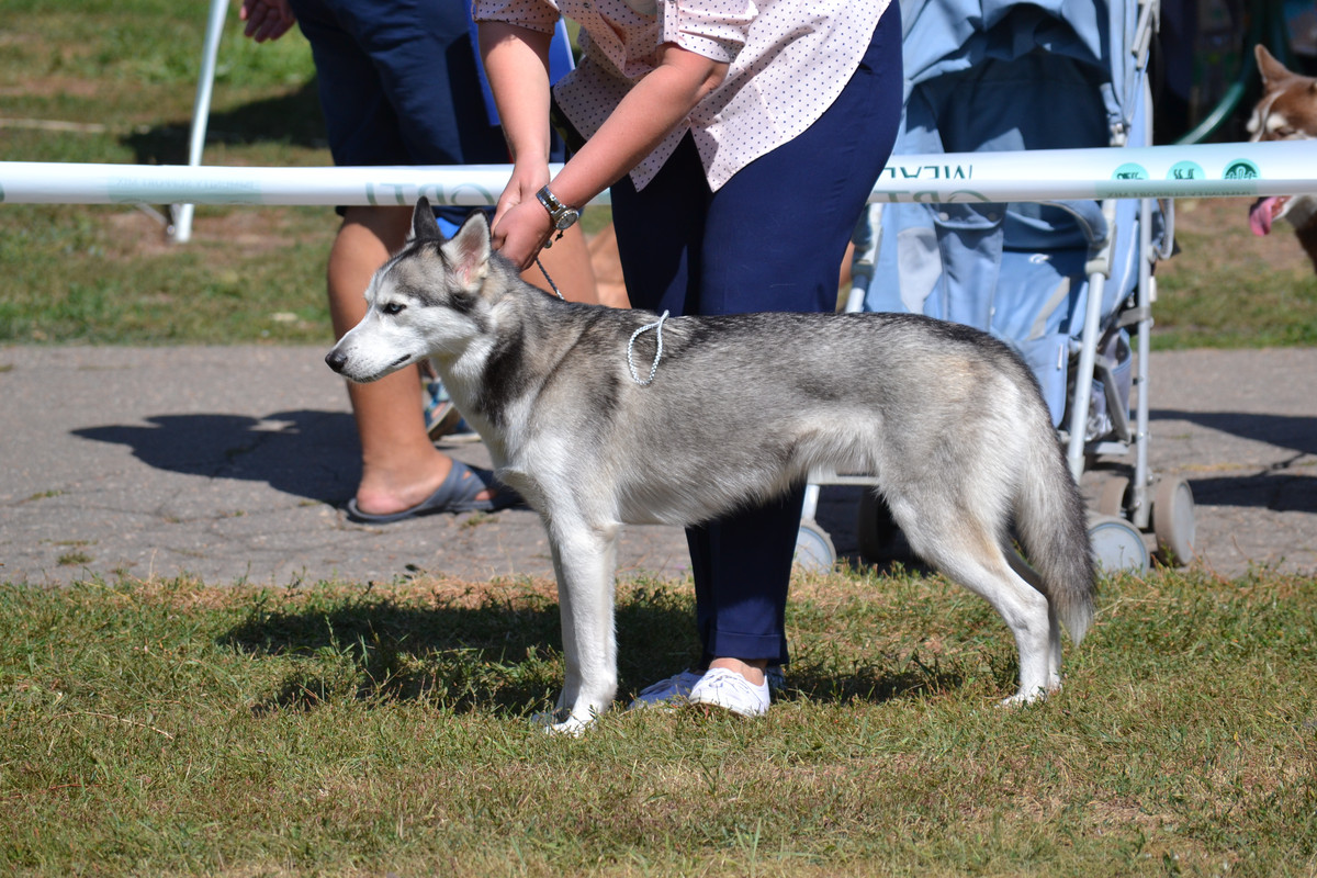 DSC 0400 — Postimages