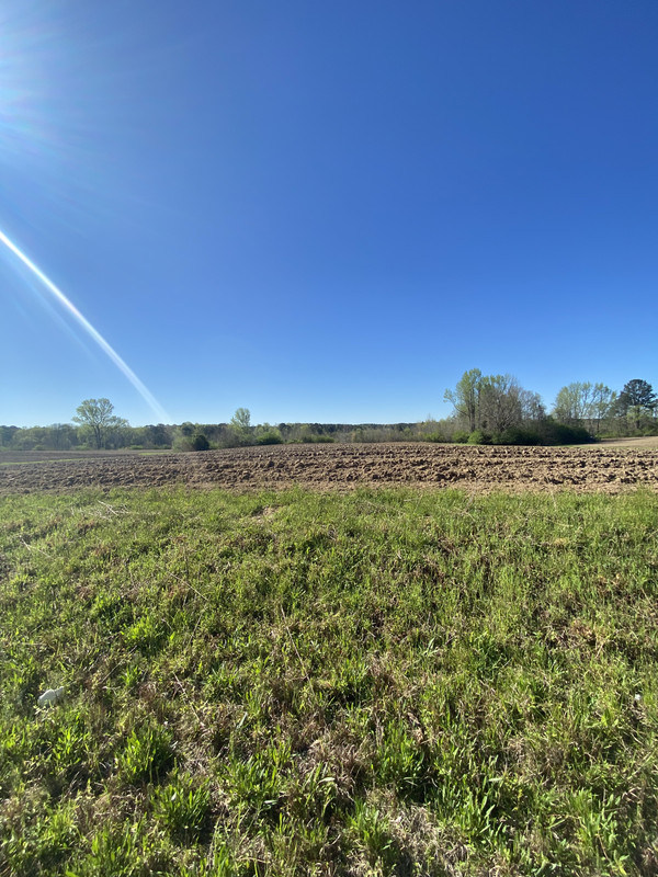 BC2 C8 F49 37 A6 4 D75 A5 FE 8 FD91 D8 B49 AB — Postimages