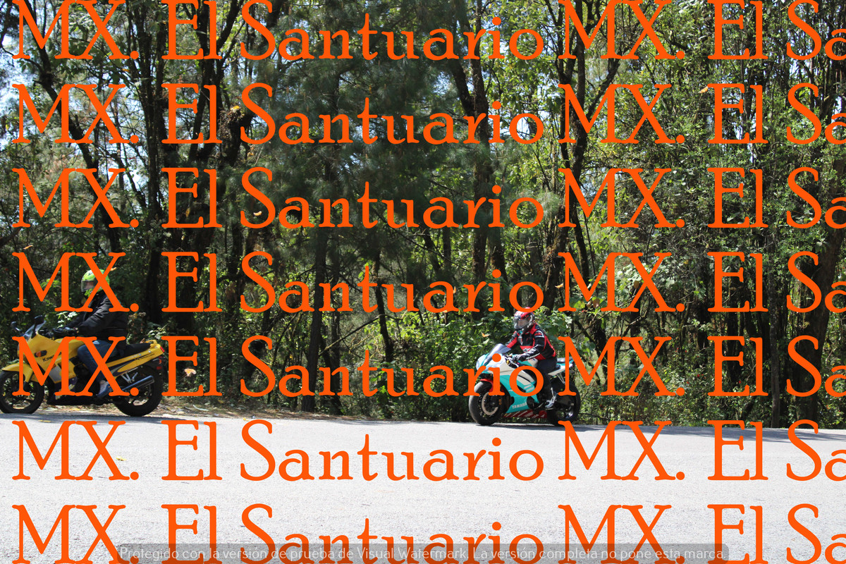 IMG 0695 — Postimages