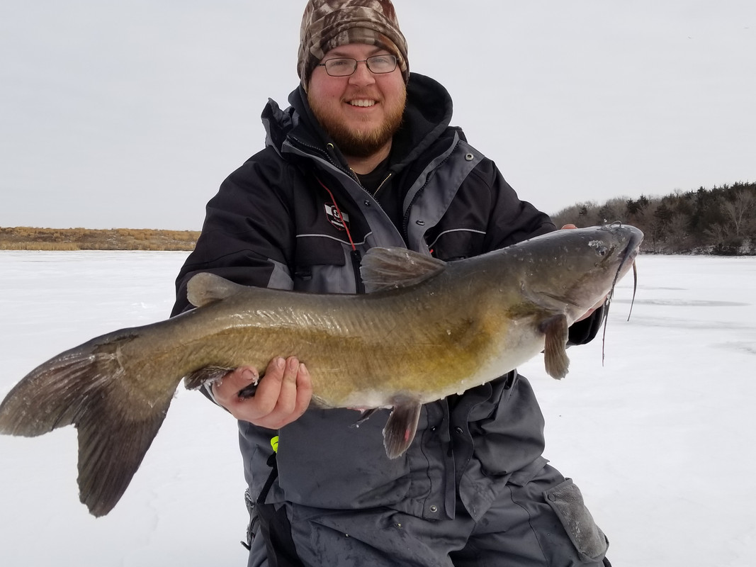 20180113 113928 — Postimages