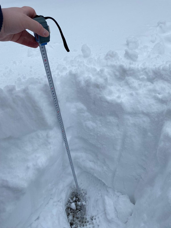 Whats App Slika 2024 12 23 u 20 54 12 24b40321 — Postimages