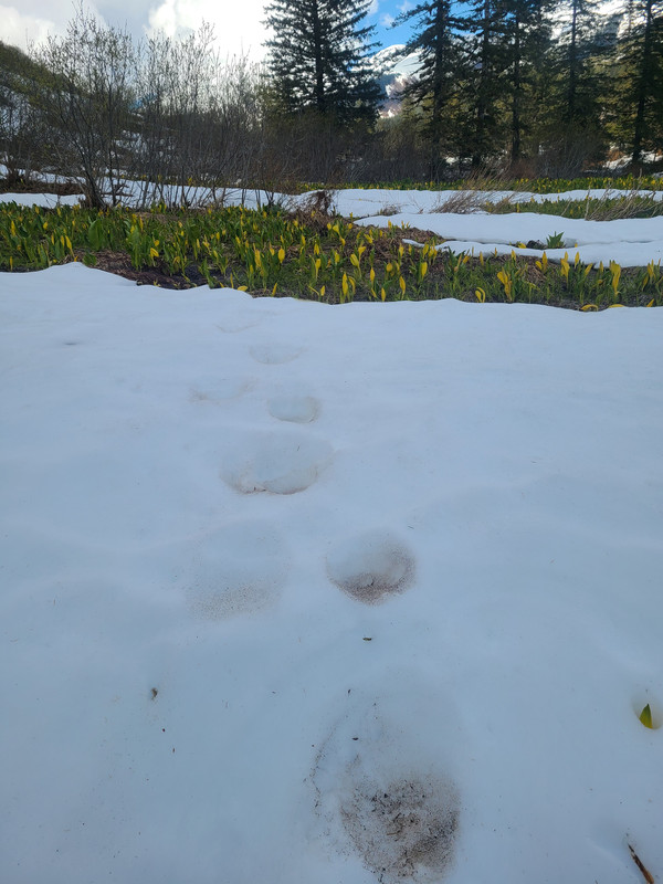 20220513 120838 — Postimages