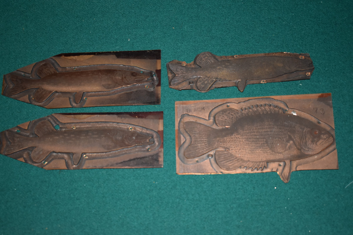 DSC 0902 — Postimages