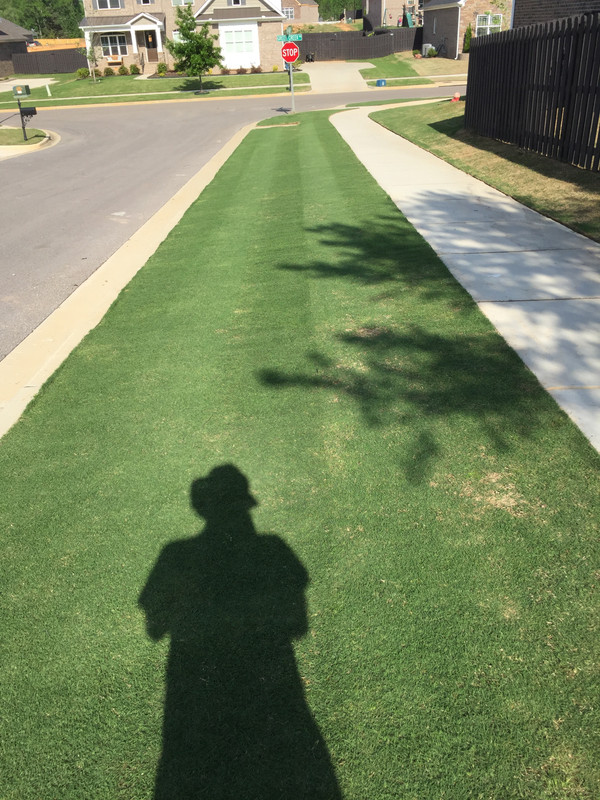 IMG 5404 — Postimages